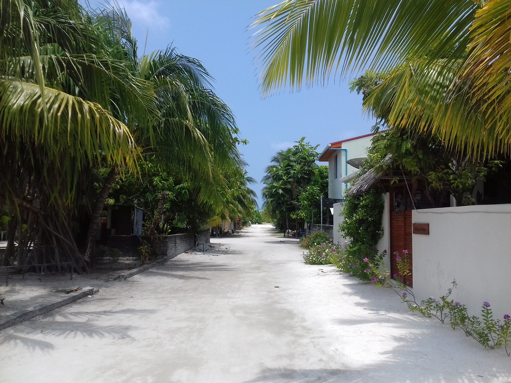 Dhiffushi Island
